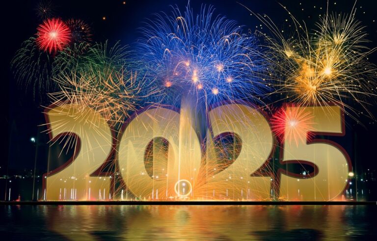 800,000 visitors on Vienna's busy New Year's Eve trail - Austrian News